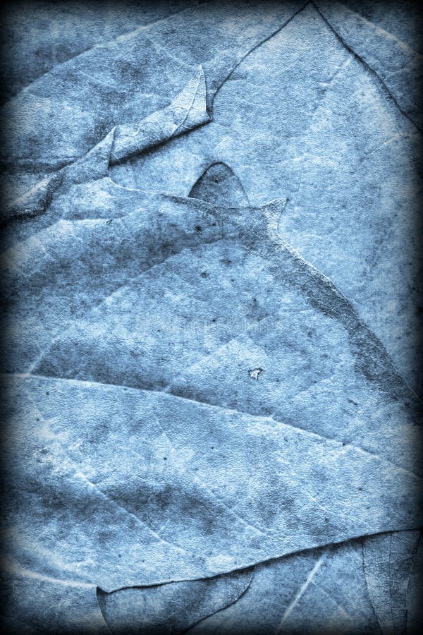 Blue Autumn Foliage Background Vignetted Grunge Texture Stock Image ...