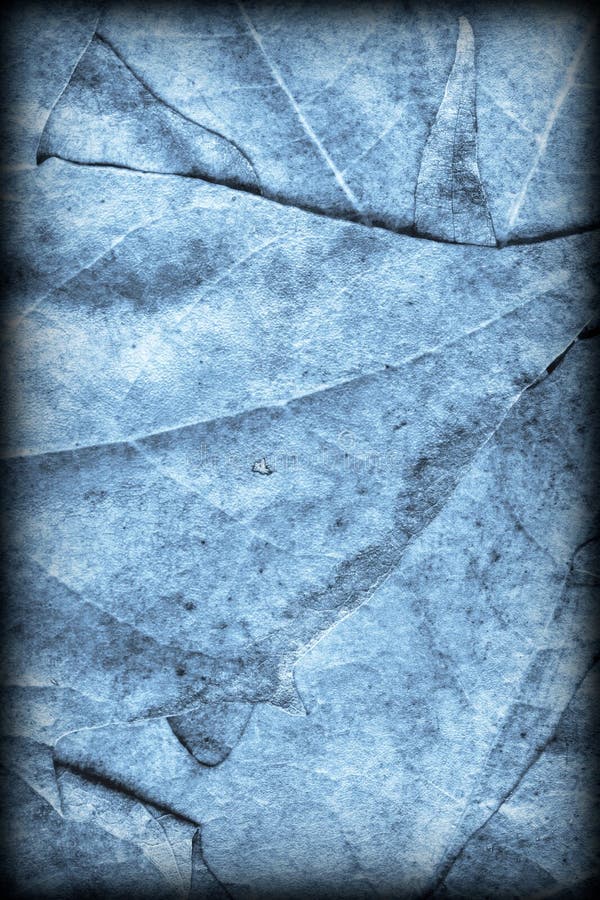 Blue Autumn Foliage Background Vignetted Grunge Texture Stock Photo ...