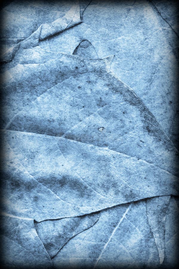 Blue Autumn Foliage Background Vignetted Grunge Texture Stock Photo ...
