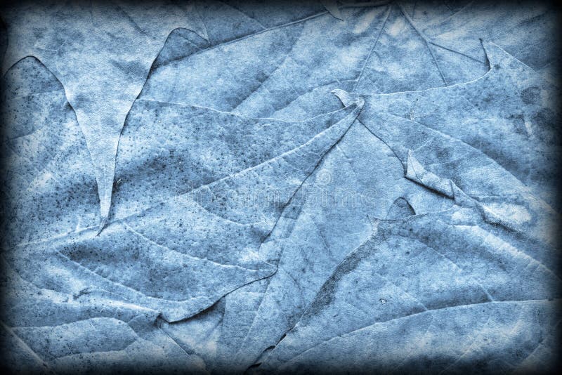 Blue Autumn Foliage Background Vignetted Grunge Texture Stock Photo ...