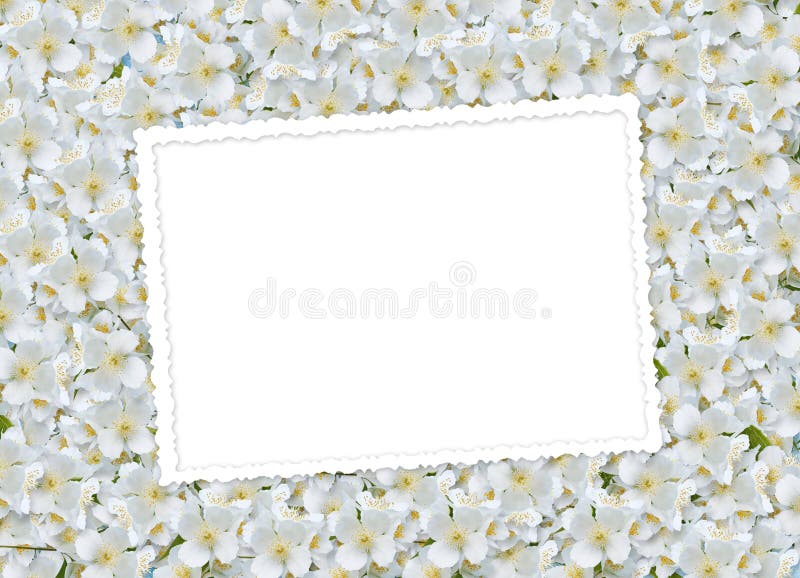 Blue Background with Branch of Sakura Stock Illustration - Illustration ...