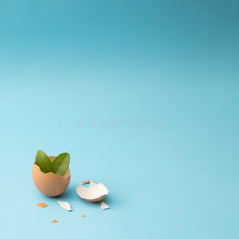 Broken Easter egg stock photo. Image of sweet, easter - 2120450