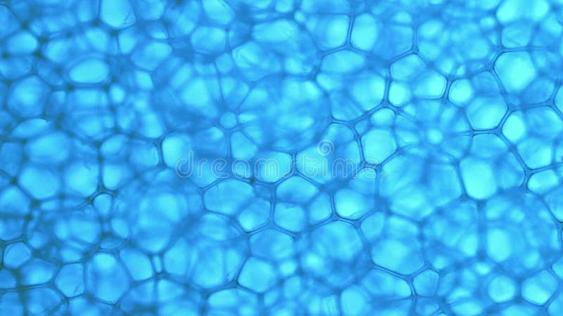 Abstract Blue Cells Backgrounds Stock Footage - Video of compound ...