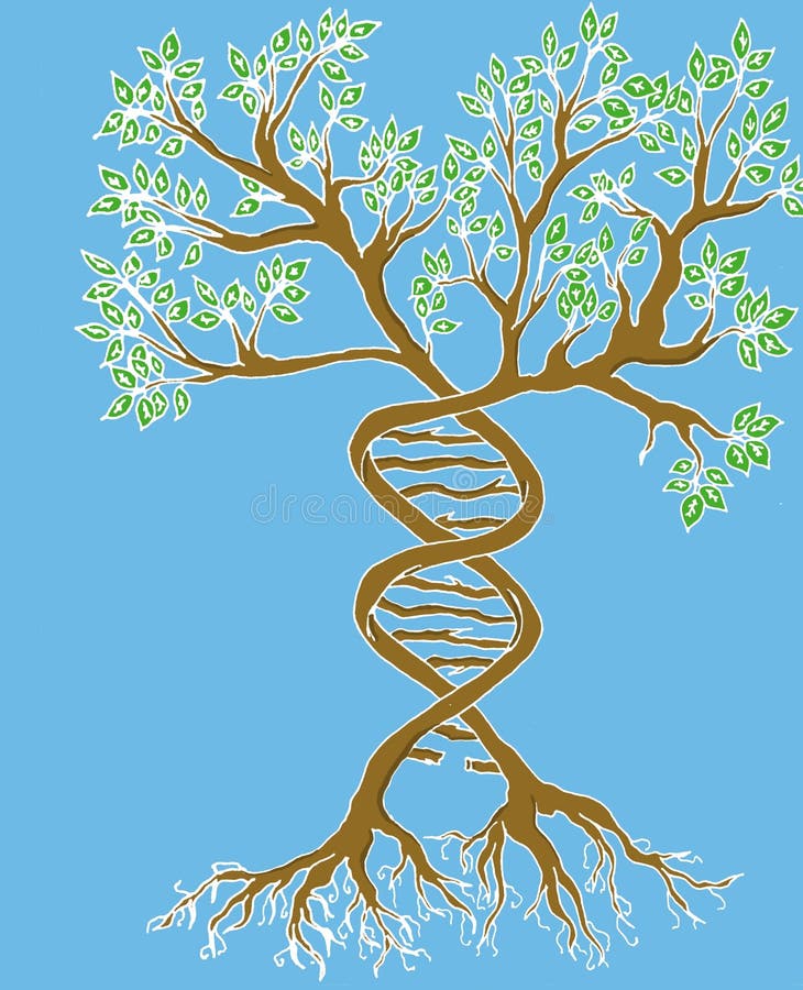 Genetical Tree Stock Illustrations – 8 Genetical Tree Stock ...