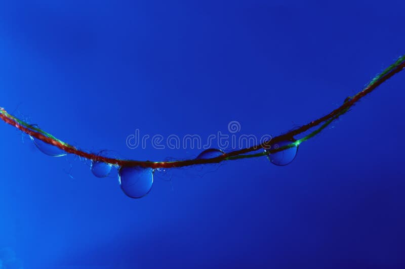 Drops of Water Drying on a String Stock Photo - Image of water ...