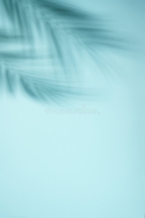 Blue Background with Palm Shadows. Stock Photo - Image of blue, empty ...