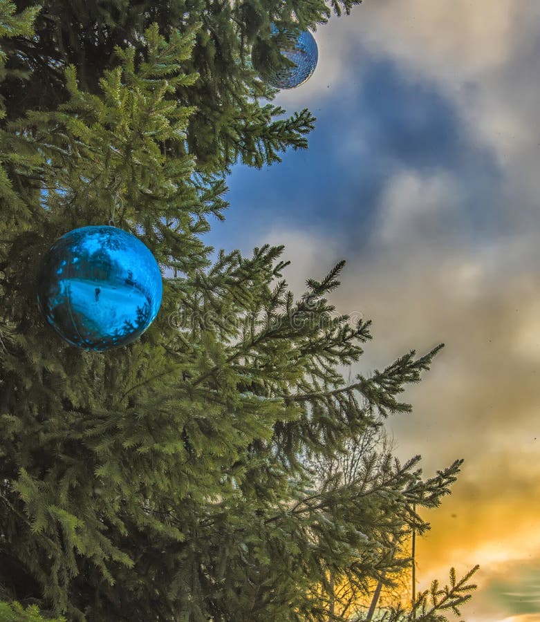 Blue Ball on the Christmas Tree Stock Photo - Image of december, ball ...
