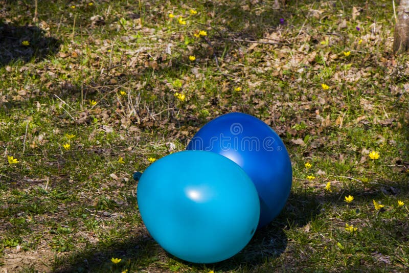 Blue Balloon on the Field and Grass, Party Decoration Stock Photo ...