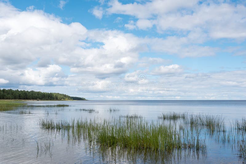 Blue Baltic sea. stock photo. Image of cloud, seascape - 76985132