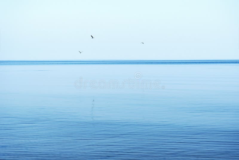 Blue Baltic sea. stock image. Image of sunny, ocean, environment - 73500843