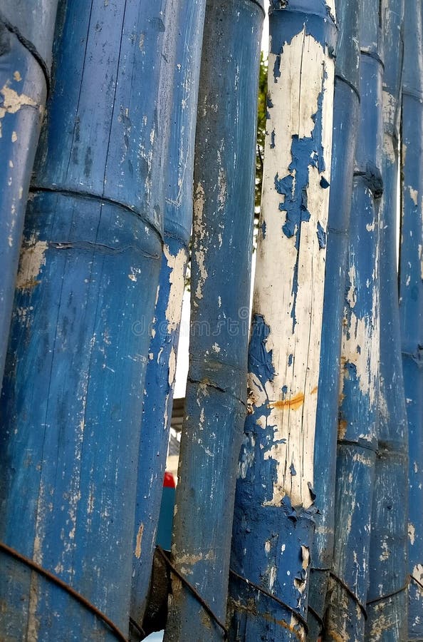 Blue bamboo stock photo. Image of abstract, blue, bamboo - 82161928