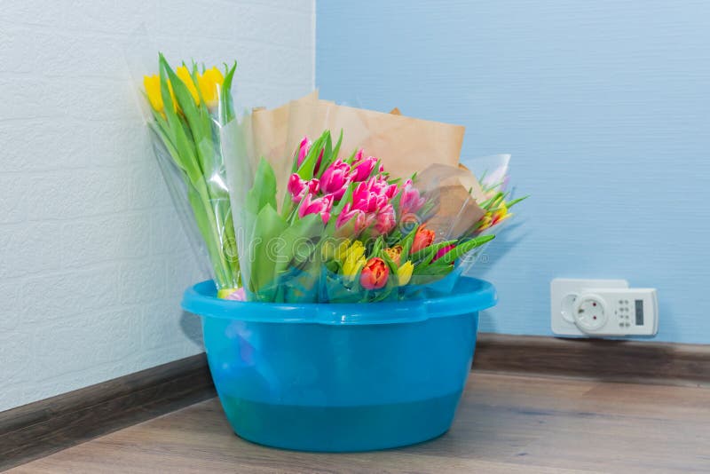 Blue Basin with Plenty of Tulips. Bouquet Storage Stock Photo - Image ...