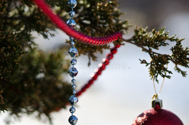 Blue Beads Strung on the Outdoor Christmas Tree Stock Photo - Image of ...