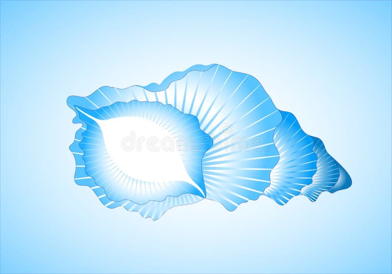 Blue Beautiful Sea Cockleshell. Stock Vector - Illustration of ...