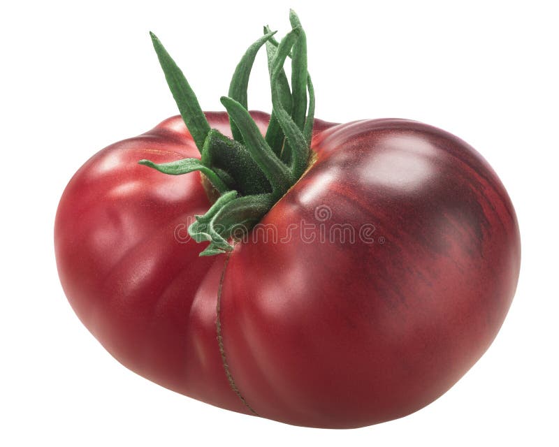 Blue Beauty Heirloom Tomato, Anthocyan-rich, Isolated Stock Photo ...