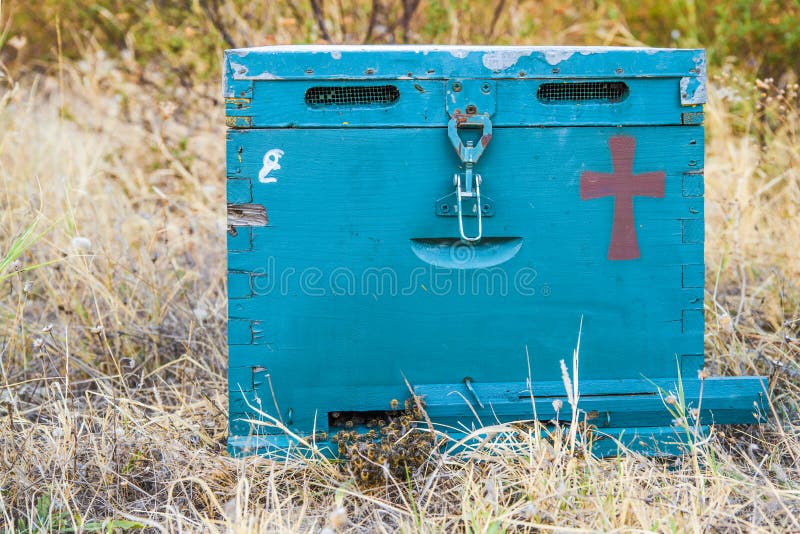 Blue Beehive Box on the Meadow Stock Image - Image of eager, animal ...