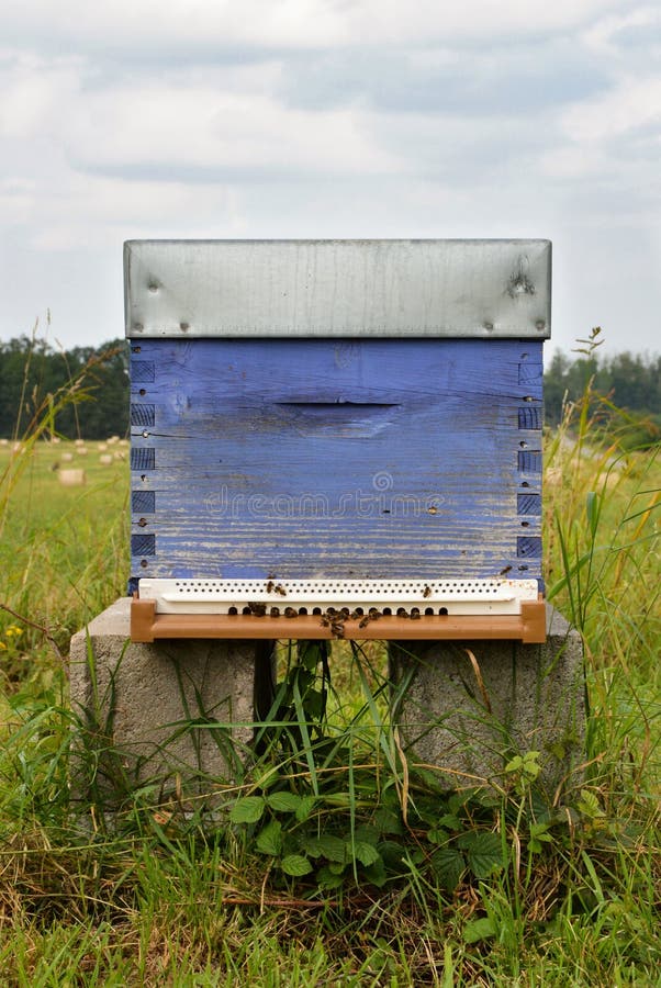 Blue Beehive in the Countryside Stock Image - Image of harvest ...