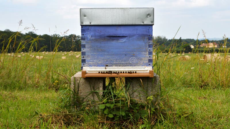 Blue Beehive in the Countryside Stock Photo - Image of field ...