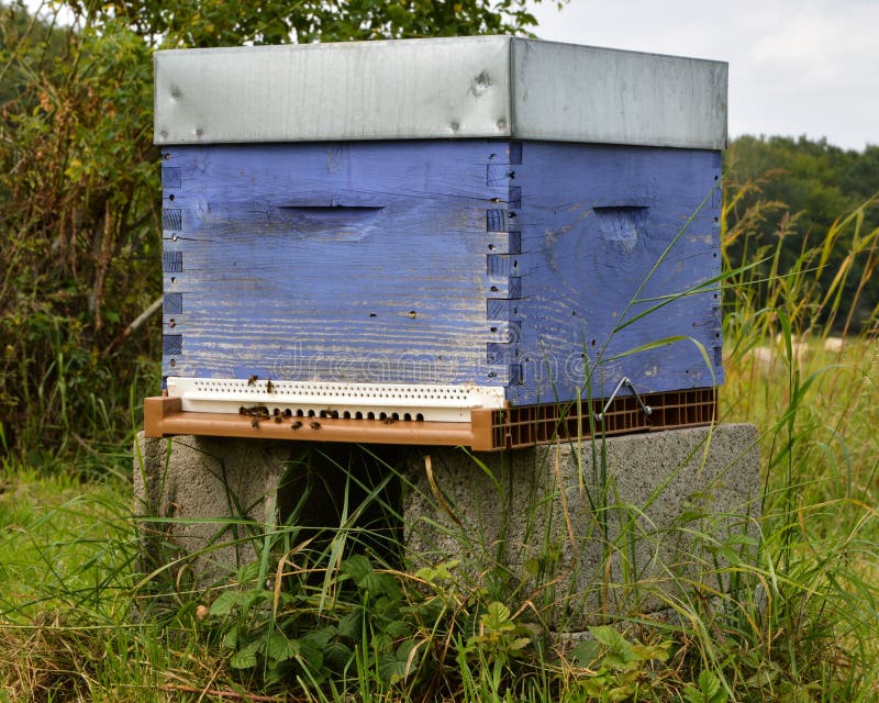 Blue Beehive in the Countryside Stock Image - Image of nectar ...