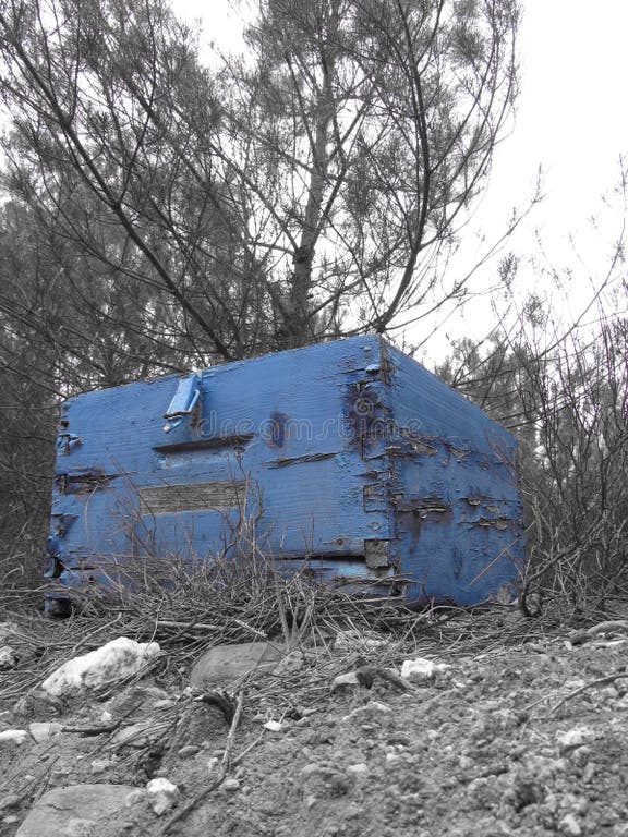 Blue beehive stock image. Image of beehive, left, forest - 43201841
