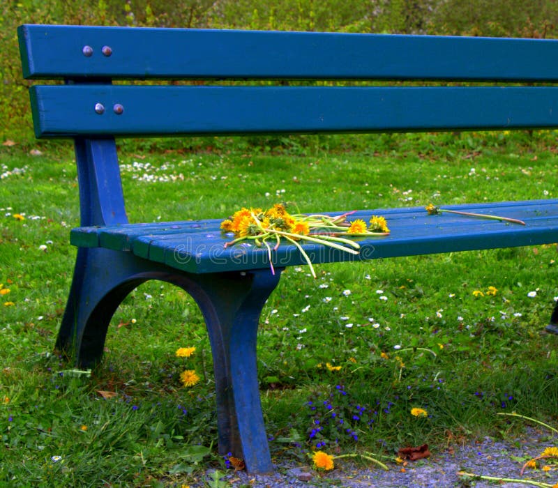 Blue bench stock photo. Image of blue, colorful, green - 14111388