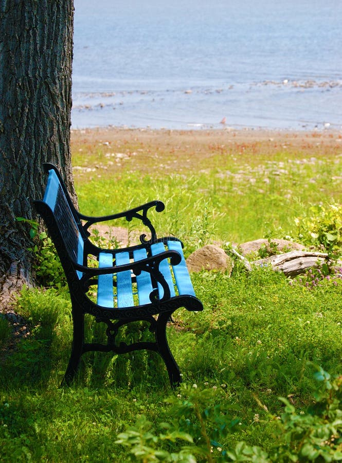 Blue bench stock image. Image of flora, clean, green - 19981941