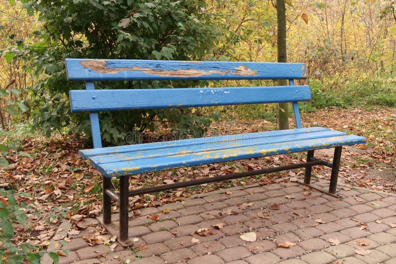 Blue Bench on a Background of Fallen Leaves, Autumn Stock Image - Image ...