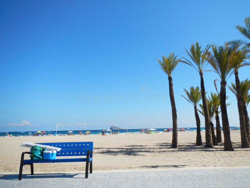 Blue Bench by the Beach stock image. Image of blue, vacation - 37980111
