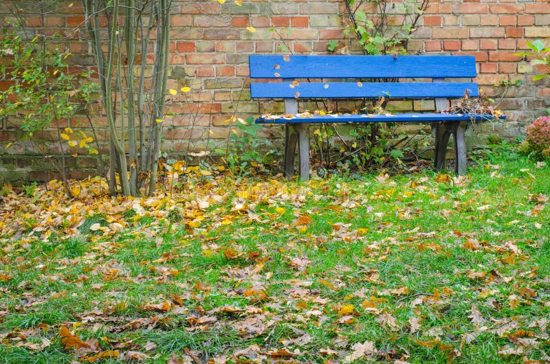 Blue bench in fall stock photo. Image of bench, wall - 79689572