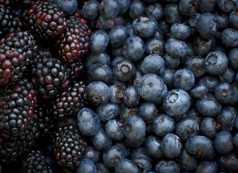 Blue Berries and Black Berries Stock Photo - Image of sweet, fruit ...