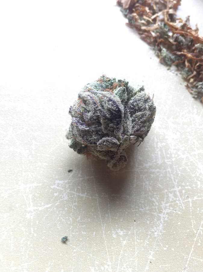 Blue Berry Haze stock image. Image of marijuana, cannabis - 128094079