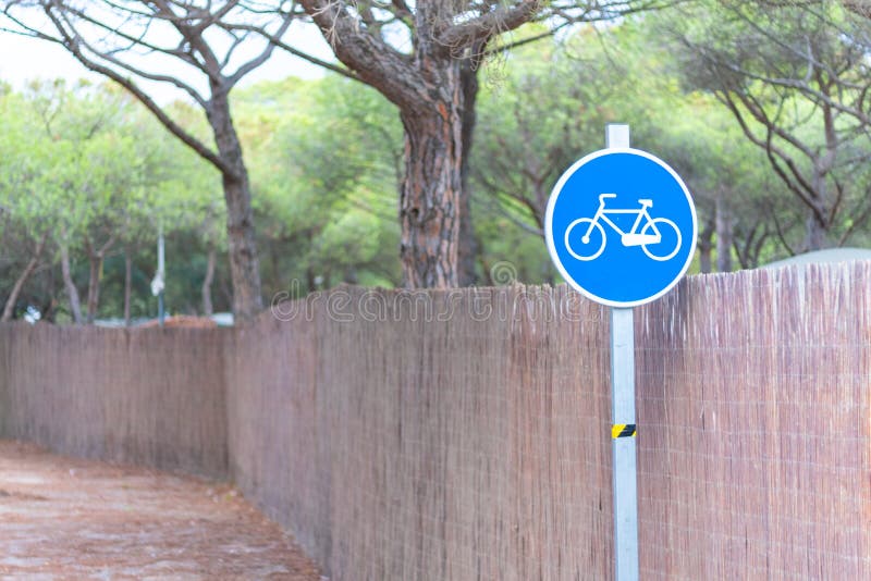 Blue Bicycle Trail Signal on a Path in a Green Forest Stock Image ...
