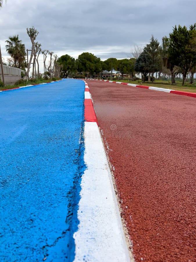 Blue Bike Path and Red Running Path Run Side by Side through a Public ...