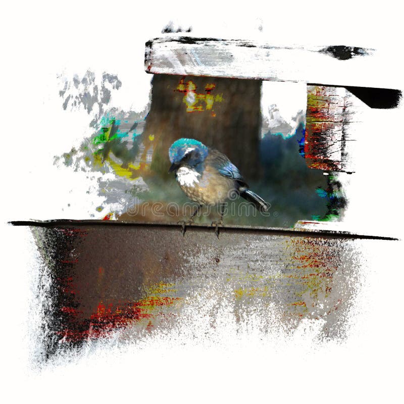 Blue Bird on a barrel stock photo. Image of wildlife - 181801182