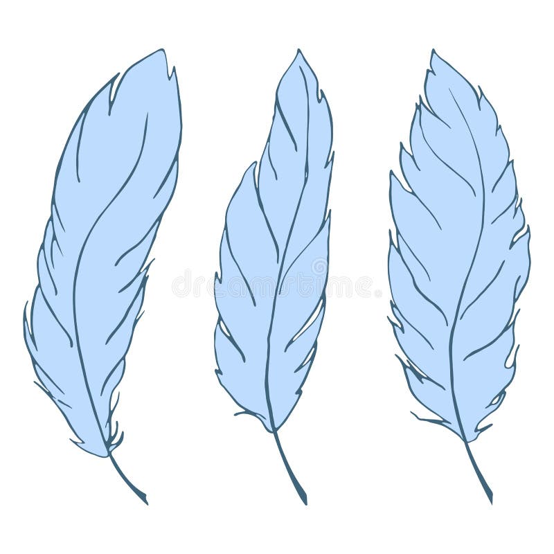 Blue Bird Feather Line Art Set Vector Stock Vector - Illustration of ...