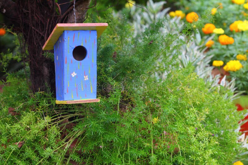 Blue bird house stock photo. Image of object, blue, plants - 29217556