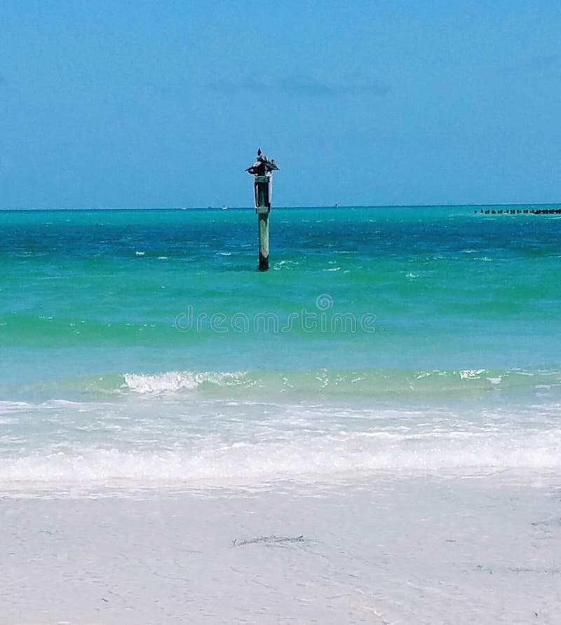 Blue stock photo. Image of blue, beach, bird, water, pilon - 94894392