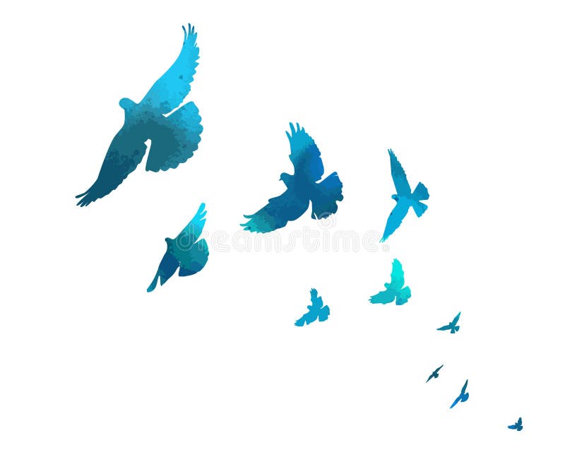 Flock Flying Birds Drawing