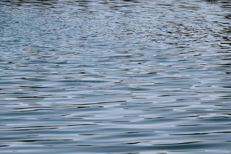 Blue, Black, and White Concentric Water Ripples Stock Photo - Image of ...