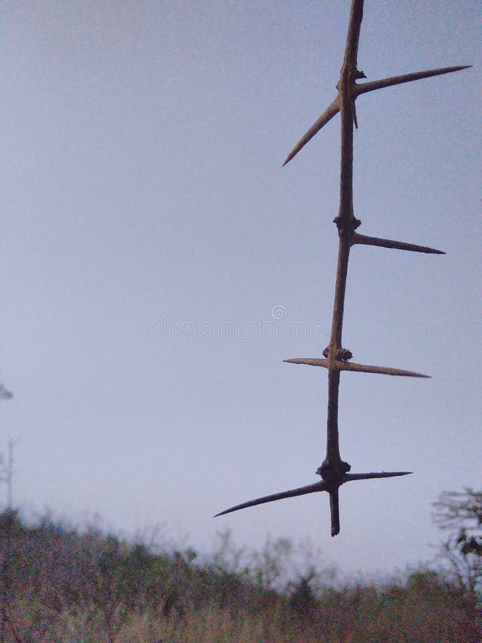 Spikes and sky stock image. Image of blue, spikes, white - 136369219