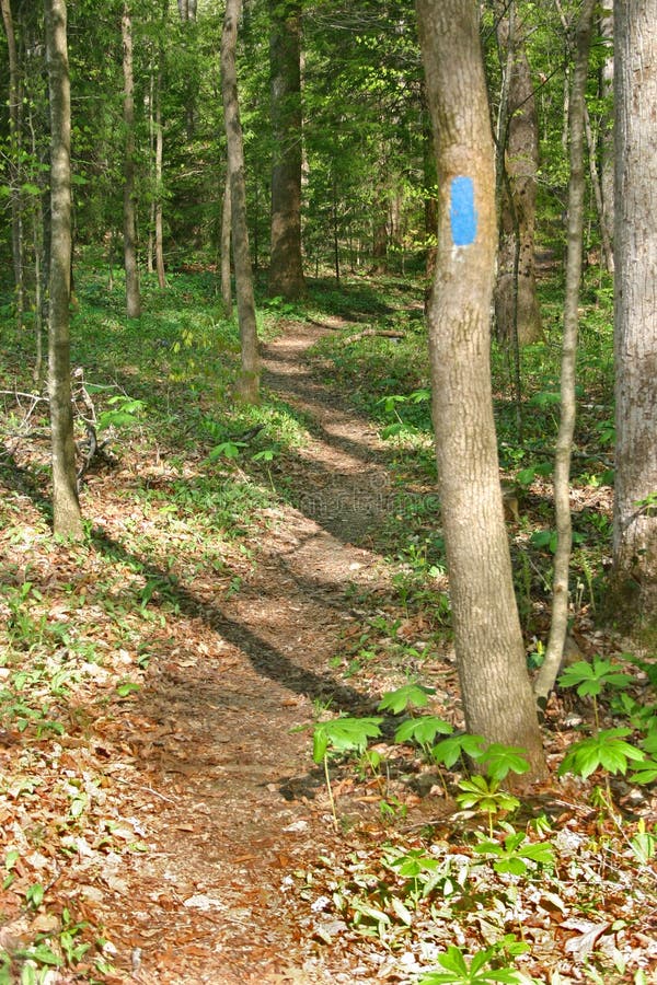 Blue Blaze stock photo. Image of direction, walkway, camp - 13853838