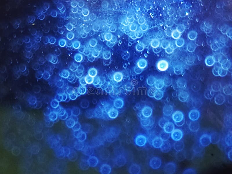 Blurs Shine Bright in Blue Color Stock Photo - Image of creative ...