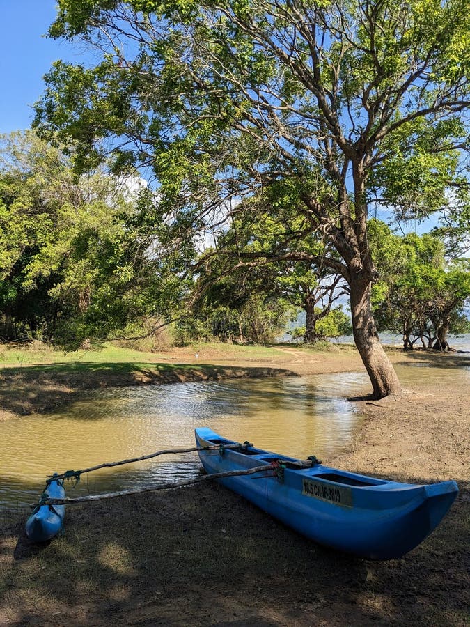 Blue Boat in Front of the Kandalama Lake with Large Trees Editorial ...
