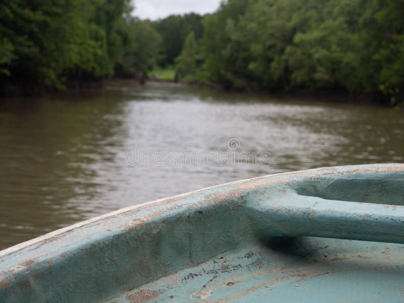 The Blue Boat Front Ran into the Mangrove Forest Stock Image - Image of ...