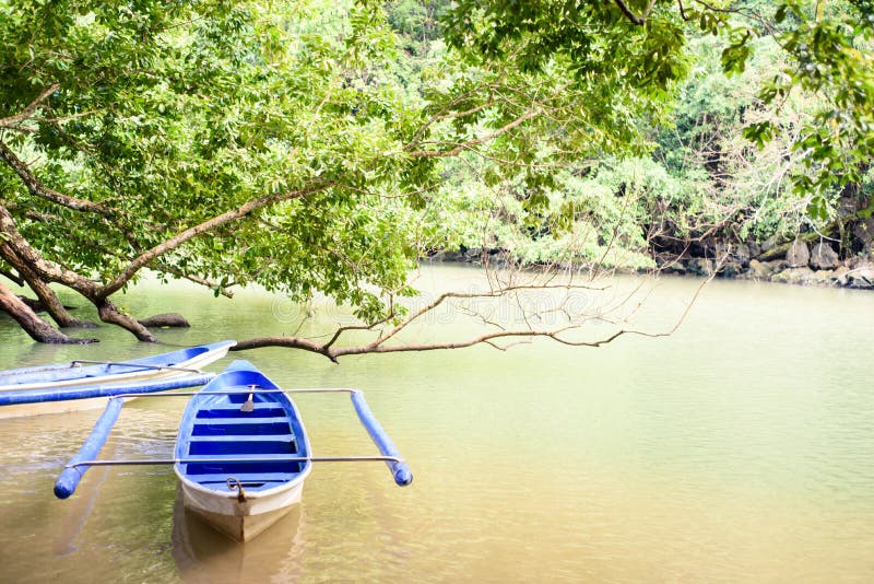 Blue Boat at the River Bank Stock Image - Image of water, branch: 85185567