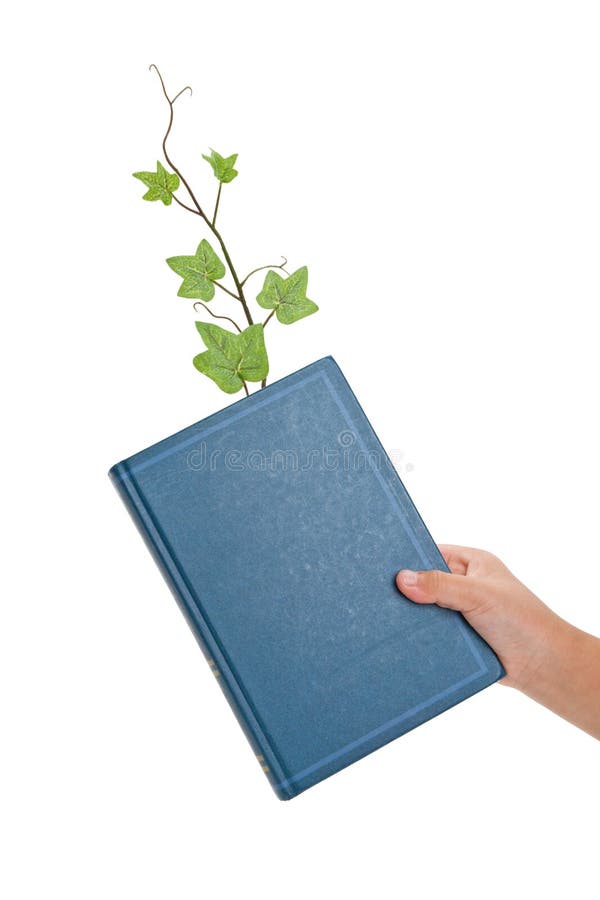 Blue book and Sprout stock image. Image of leaf, textbook - 15815353