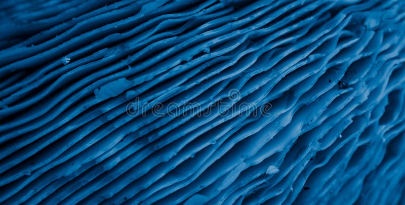 Blue Bottom of the Mushroom with Gills Stock Photo - Image of mycology ...