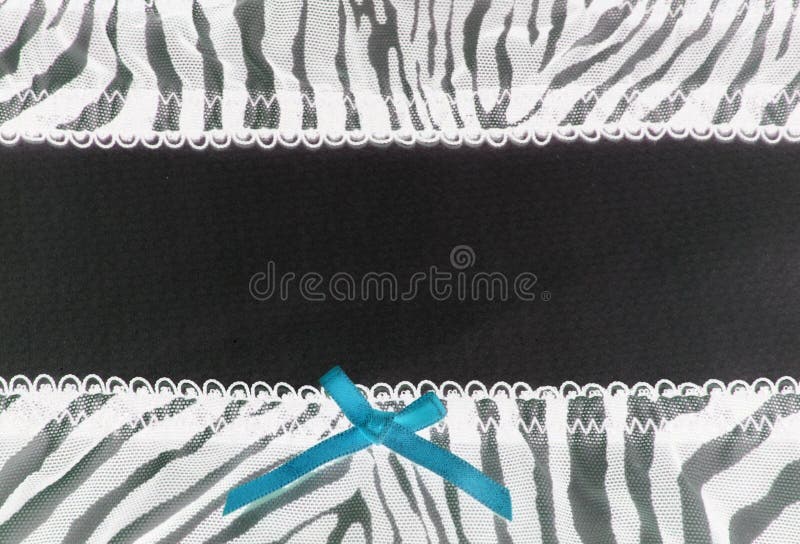 Blue Bow and Zebra Pattern Textile Frame with Dark Canvas Negative ...