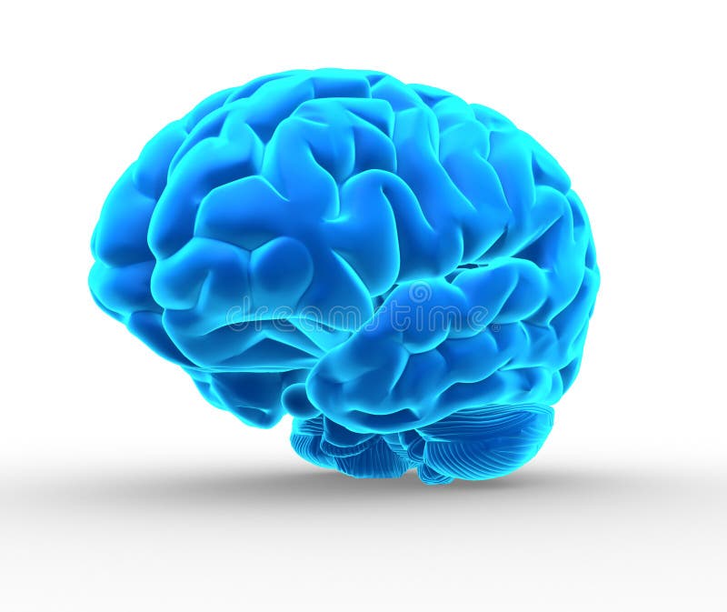Blue brain stock illustration. Illustration of neurology - 20679145