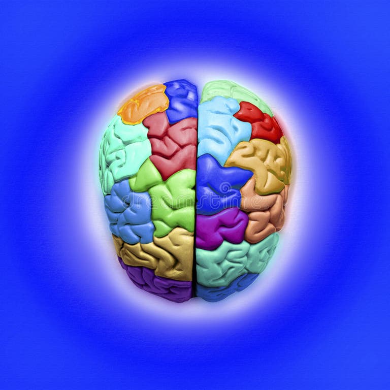 Blue Brain stock image. Image of intelligence, education - 3414545